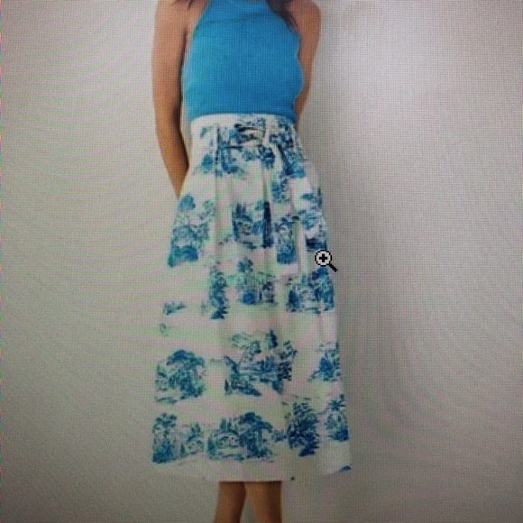 Ann Taylor | Skirts | Nwt Ann Taylor Toile Skirt | Poshmark